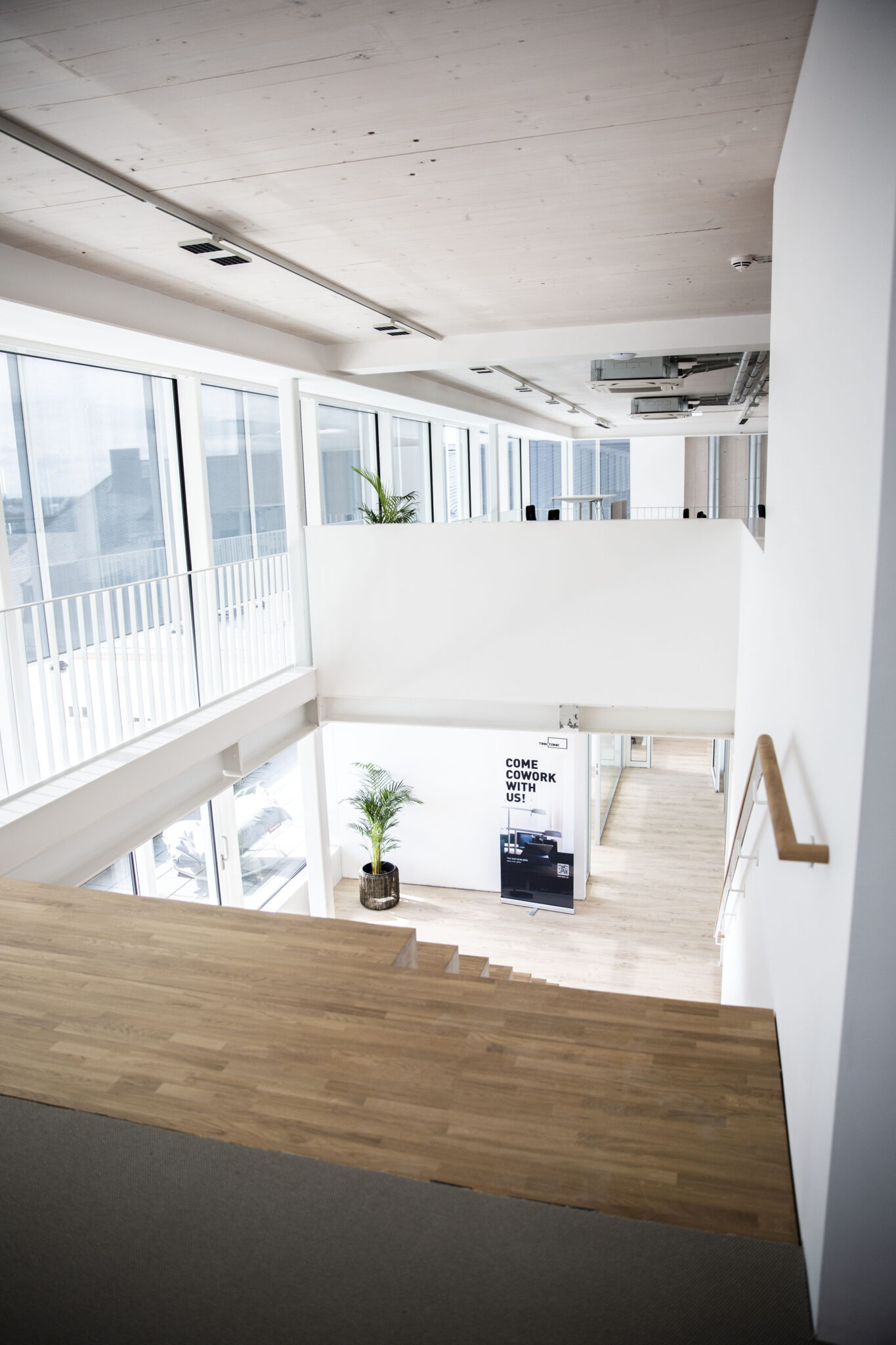 campbell - Tink Tank